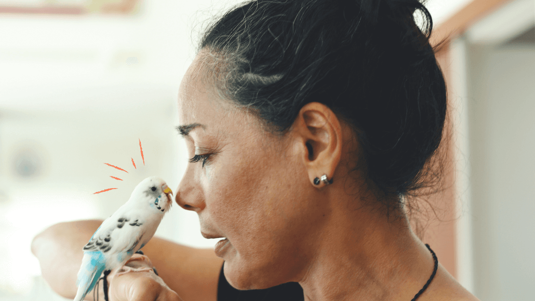 Bird Anxiety Demystified: 6 Tips for a Calm Pet