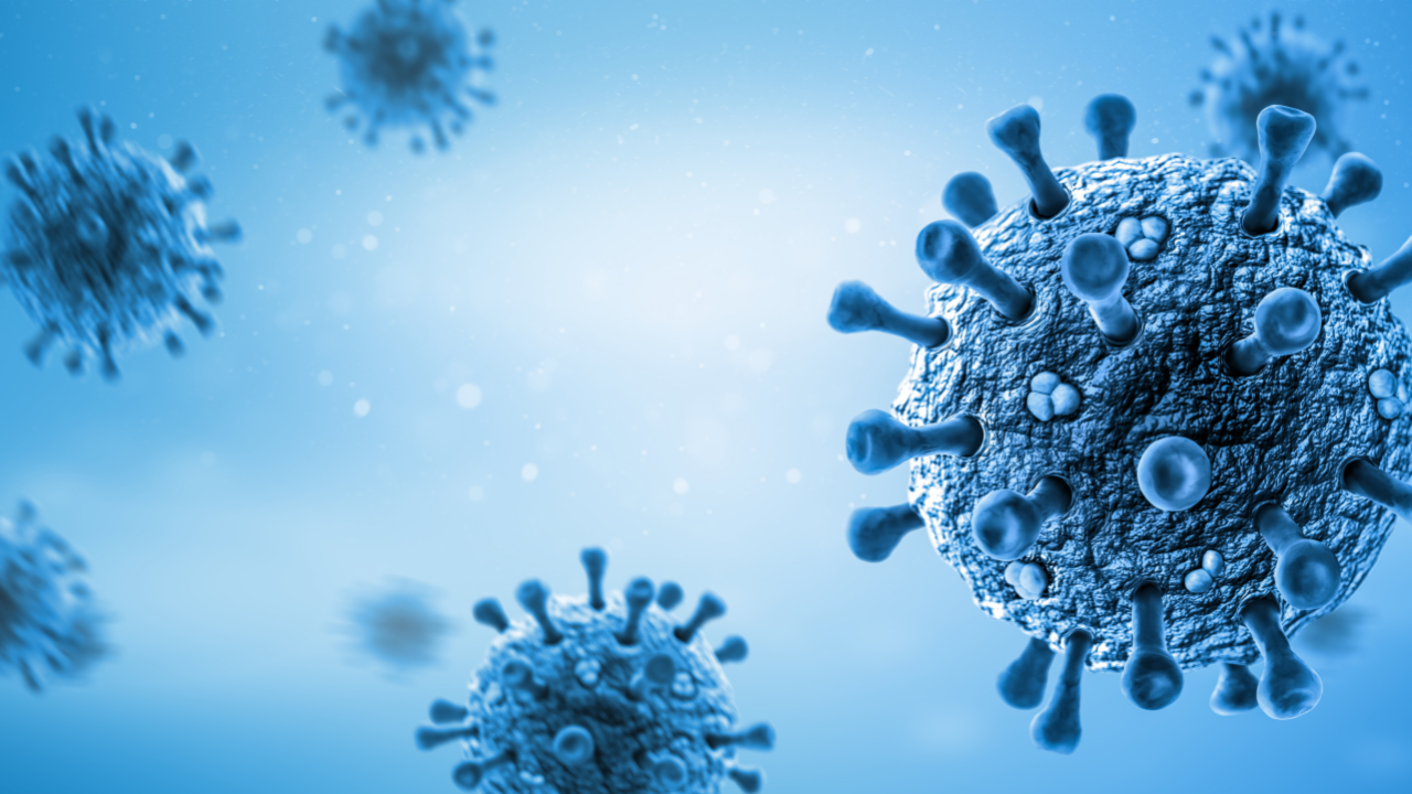 Avian Flu: How Bird Owners Can Keep Their Pet Safe | BirdSupplies.com