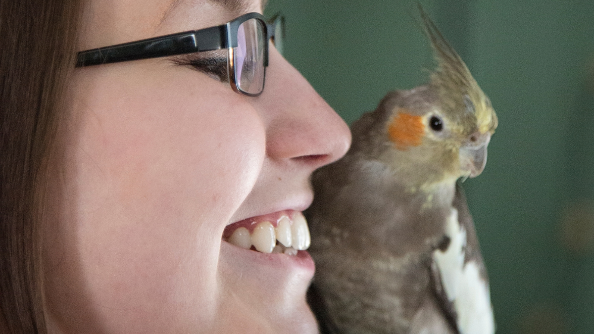 10 Tips For A Calm Bird Using Positive Reinforcement