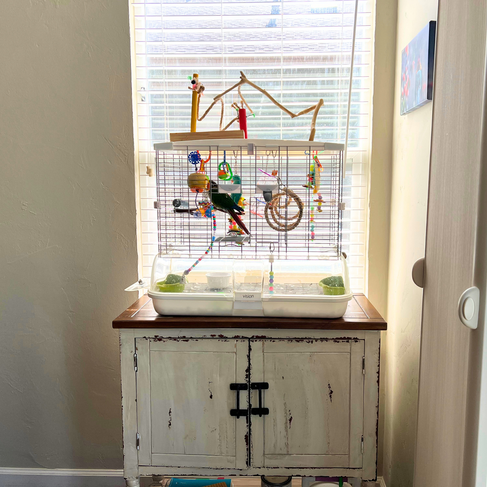 How To Choose The Best Bird Cage for Your Pet