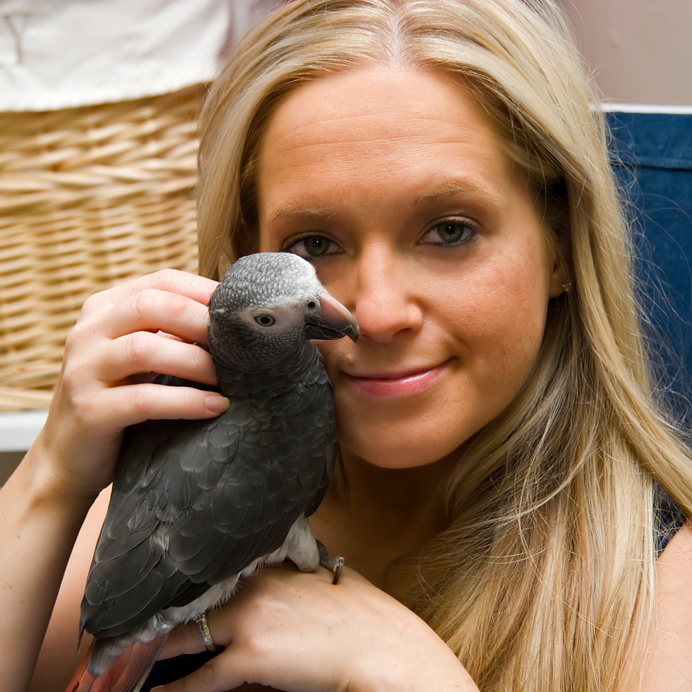 How to Make Your Bird Love You: 8 Healthy Ways to Bond