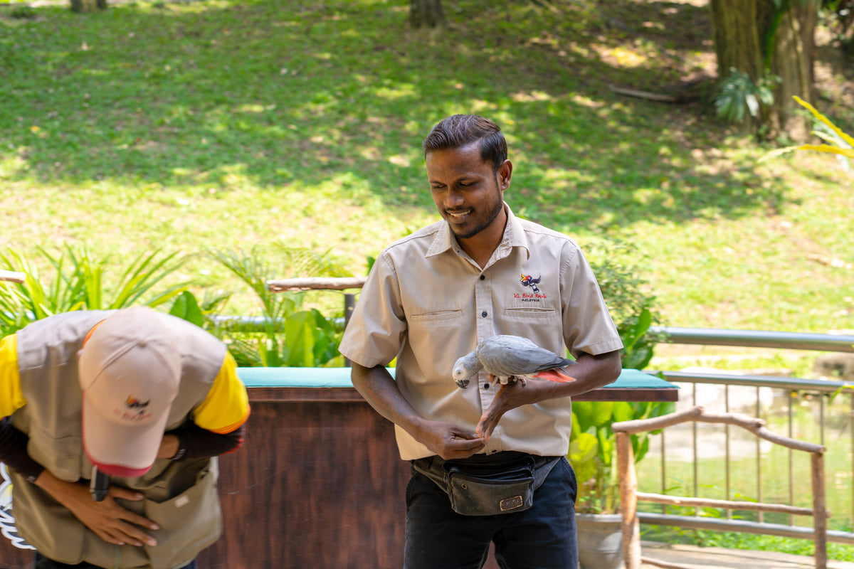 6-Easy Ways to Train Your Bird With Positive Reinforcement