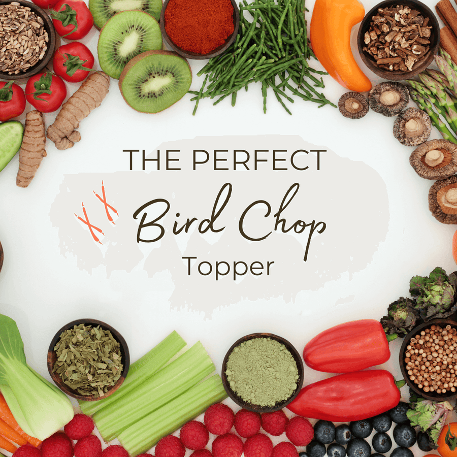 UnRuffledRx SereniTea Calming Bird Tea | Bird Friendly Tea