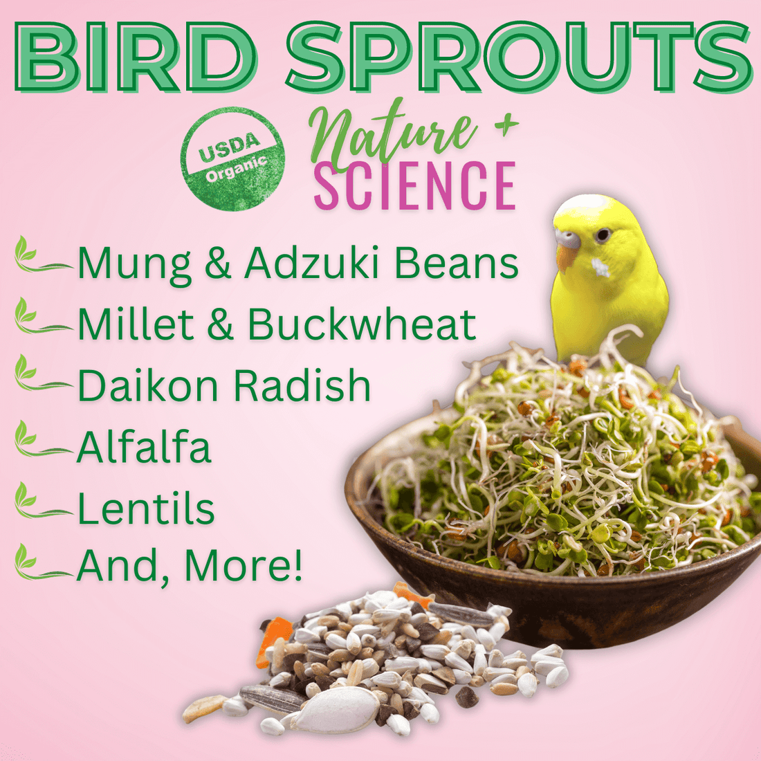 Buy UnRuffledRx Organic Sprouting Seeds For Birds Online
