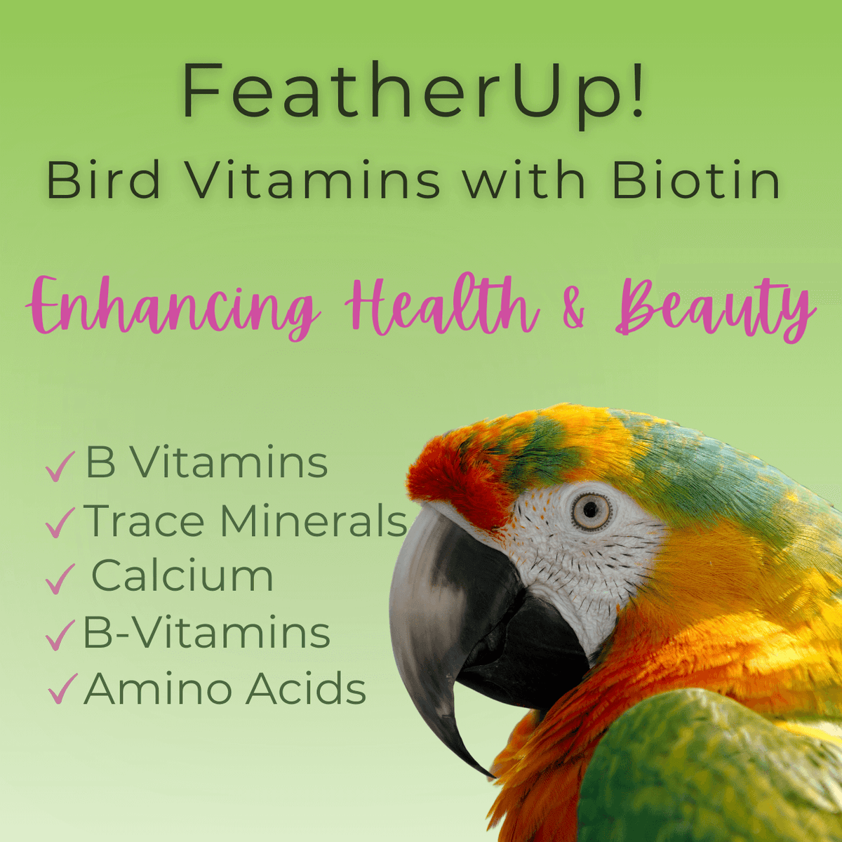 Buy UnRuffledRx FeatherUp Best Bird Vitamins Powder