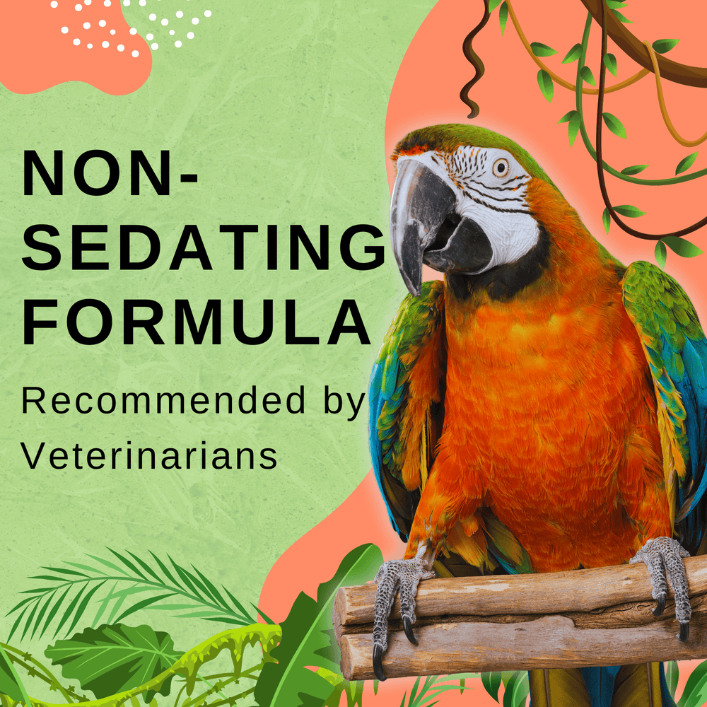 UnRuffledRx Parrot Calming Formula | Bird Calming Supplement