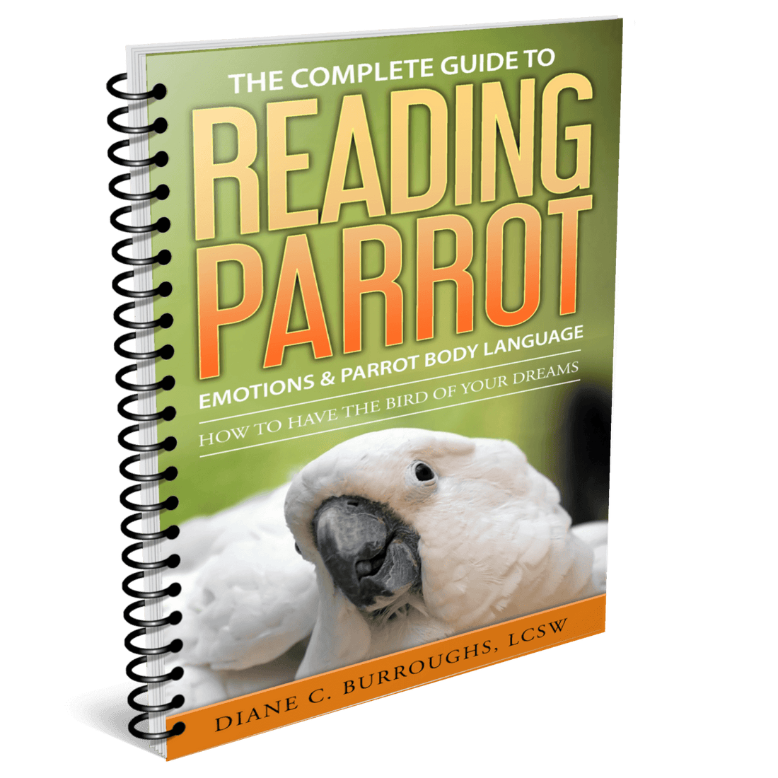 Parrot Body Language: What Your Bird Is Really Saying