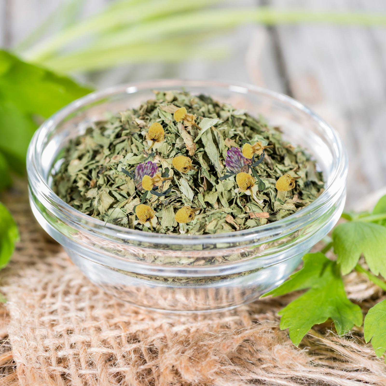 Bird Calming Tea - UnRuffledRx SereniTea Blend