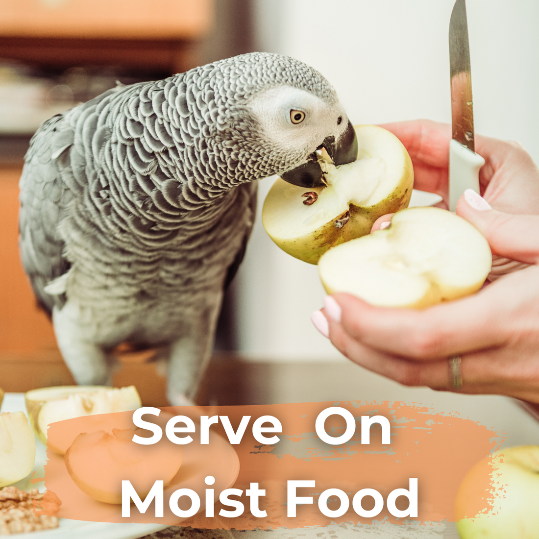 Buy UnRuffledRx Parrot Calming Formula for Bird Anxiety