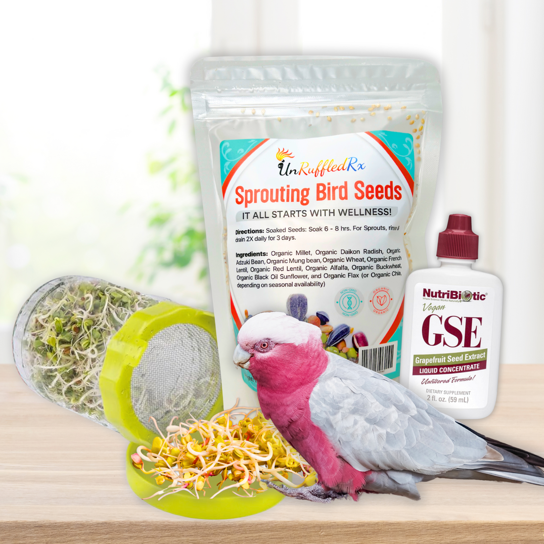 Expert Bird Care, Feather Plucking Solutions & Diet
