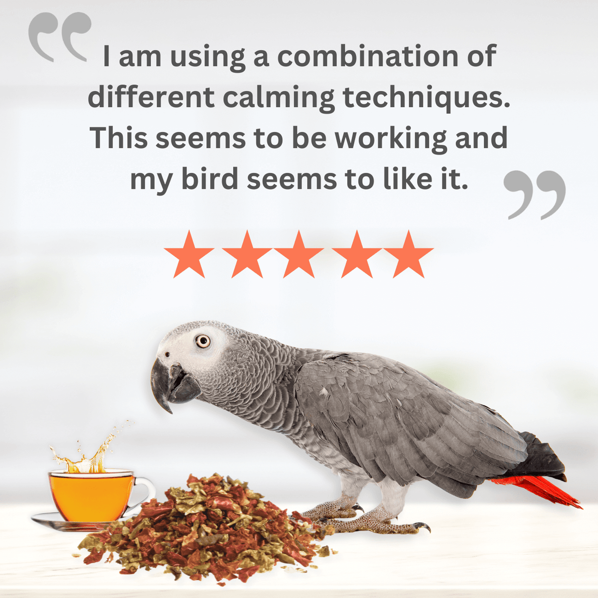 Bird Calming Tea - UnRuffledRx SereniTea Blend