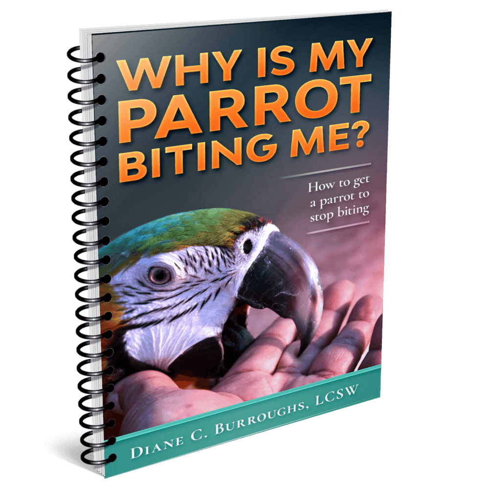 Bird Biting: Solve & Prevent Behavioral Issues