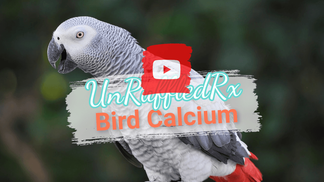 UnRuffledRx Calcium for Birds | Calcium, Magnesium + D3 Bird Supplemen