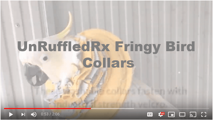 Buy Bird Neck Collar | Fringy Neck Wrap for Comfort & Safety