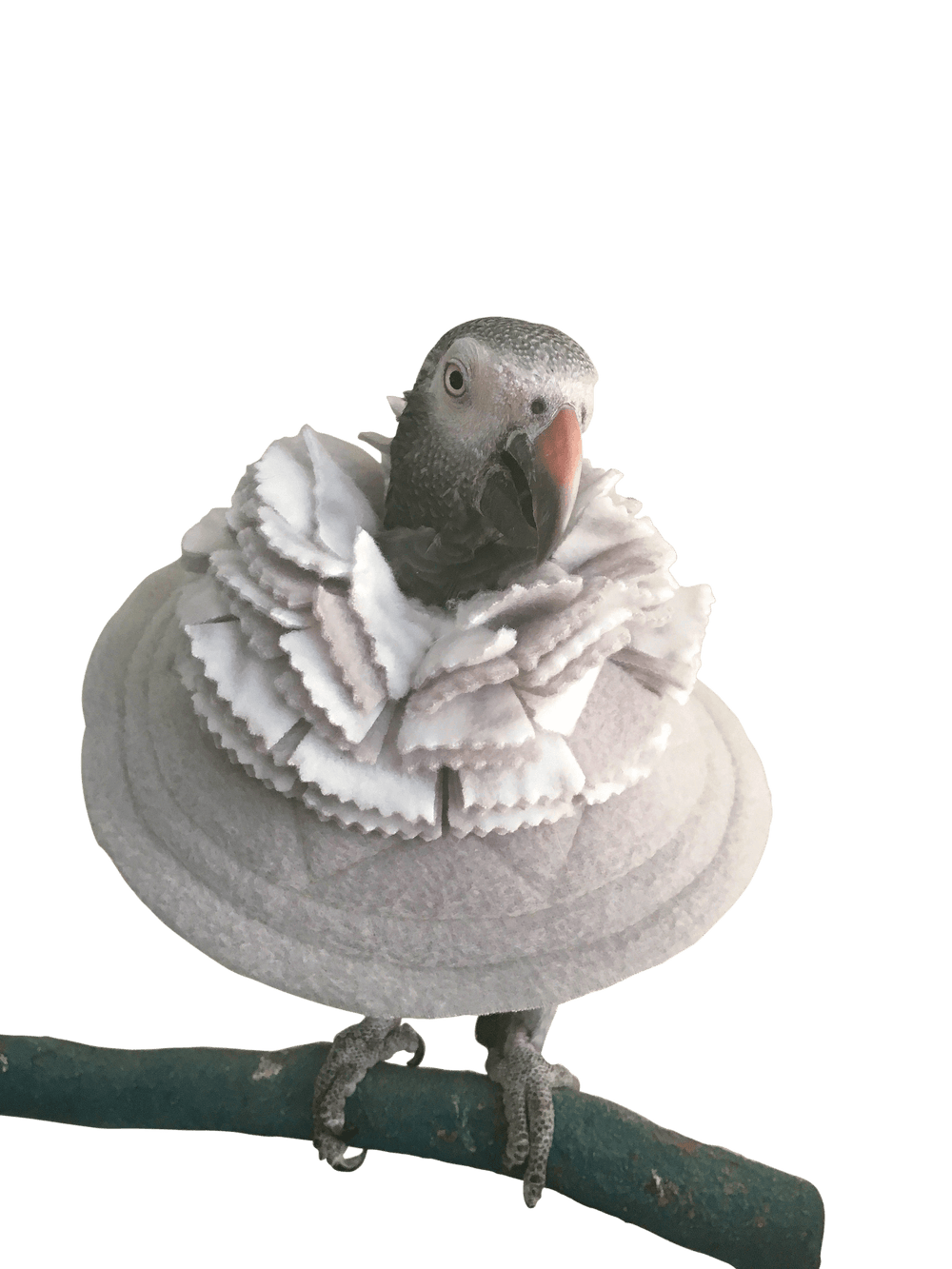 Fringy Cone Bird Collar - Protection & Comfort