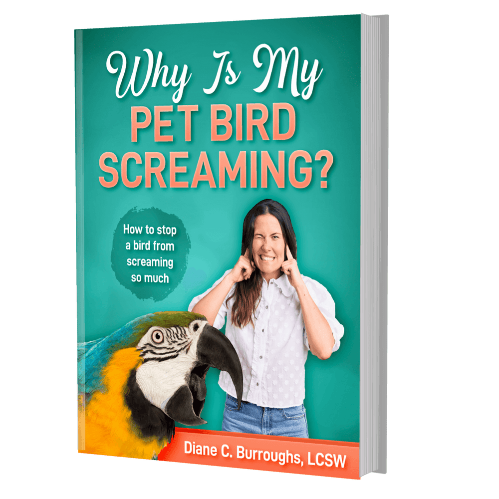 Why Is My Pet Bird Screaming? eBook