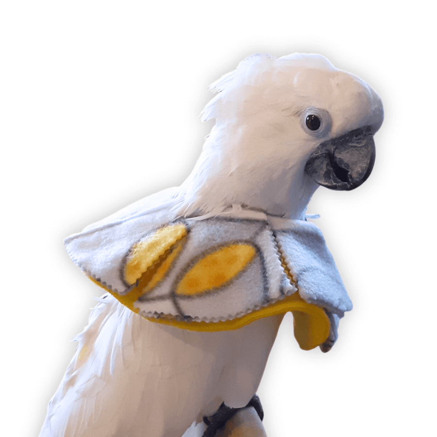 UnRuffled Soft Bird Collars Collection For Plucking