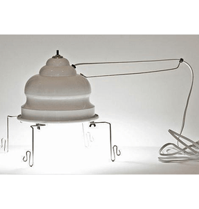 Capital Universal Full Spectrum Light for Birds by Featherbrite